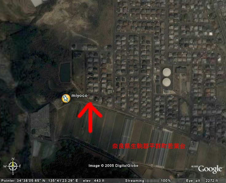 [Image - 42665] | Miyoco / Mrs. Noisy | Know Your Meme