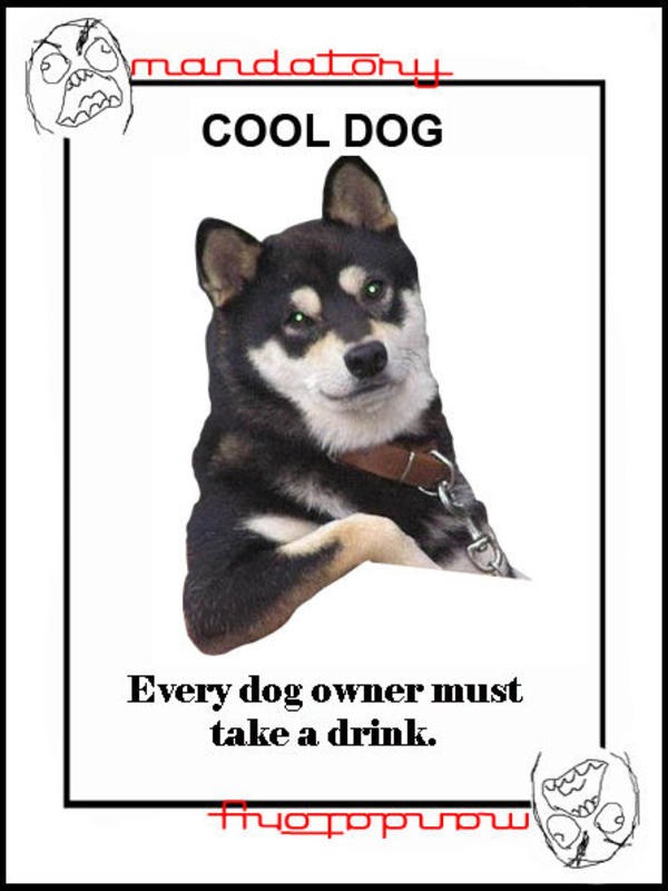 [Image - 43035] | Cool Dog | Know Your Meme