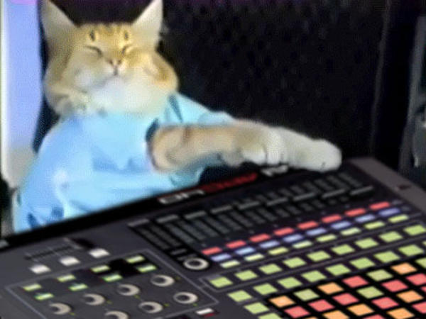 [Image - 44472] | Famous people who use the APC 40 | Know Your Meme