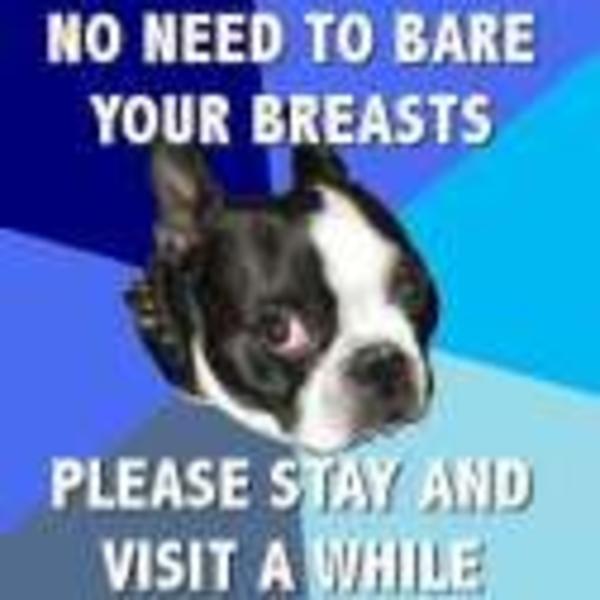 [Image - 44697] | Reverse Memes | Know Your Meme