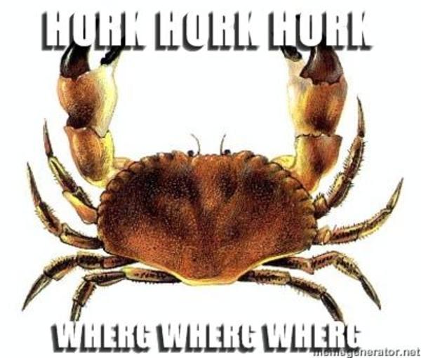 [Image - 45256] | hork hork hork | Know Your Meme