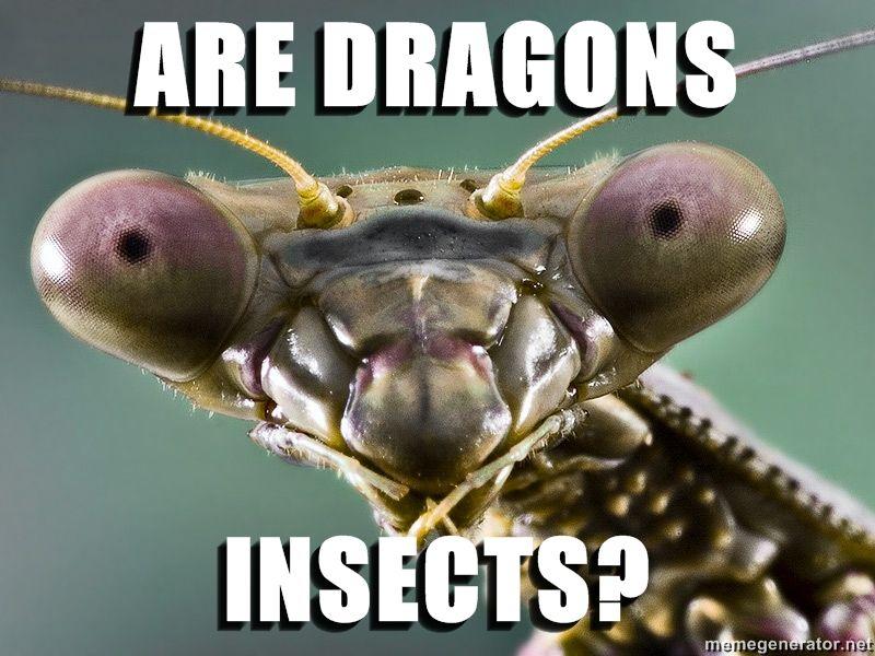 [Image - 45777] | Mantis | Know Your Meme