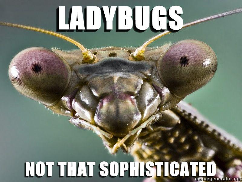 [Image - 45783] | Mantis | Know Your Meme