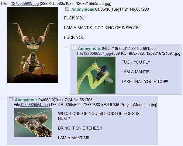 [Image - 45795] | Mantis | Know Your Meme