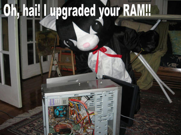 [Image - 46807] | Oh Hi I Upgraded Your RAM | Know Your Meme