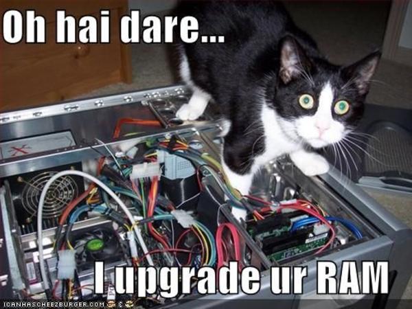 [Image - 46813] | Oh Hi I Upgraded Your RAM | Know Your Meme