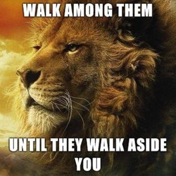 [Image - 47538] | Power Lion | Know Your Meme