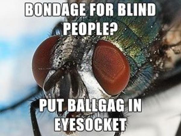 [Image - 48122] | fetish fly | Know Your Meme