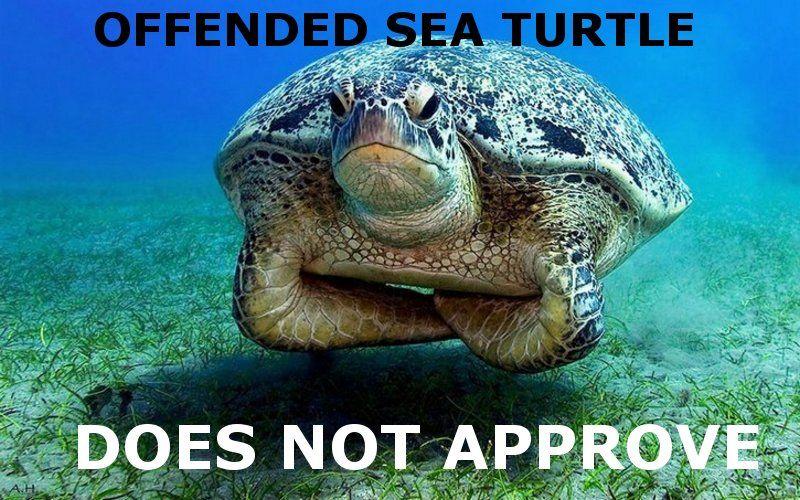 [Image - 48201] | X Approves / Does Not Approve | Know Your Meme