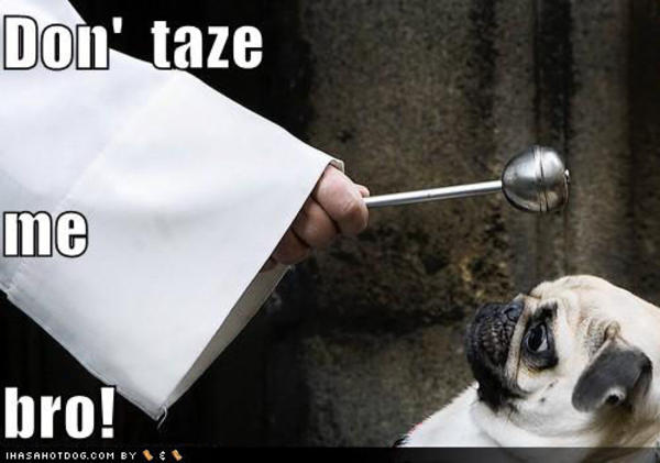 [Image - 48580] | Don't Tase Me Bro | Know Your Meme