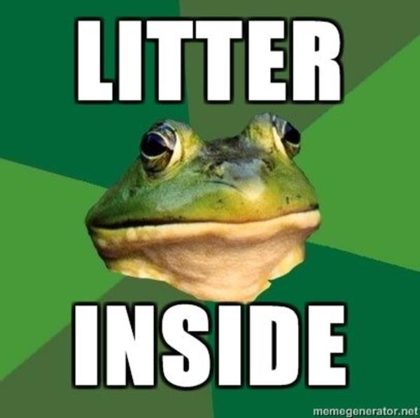 [Image - 48694] | Foul Bachelor Frog | Know Your Meme