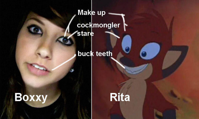 [Image - 49181] | Boxxy | Know Your Meme