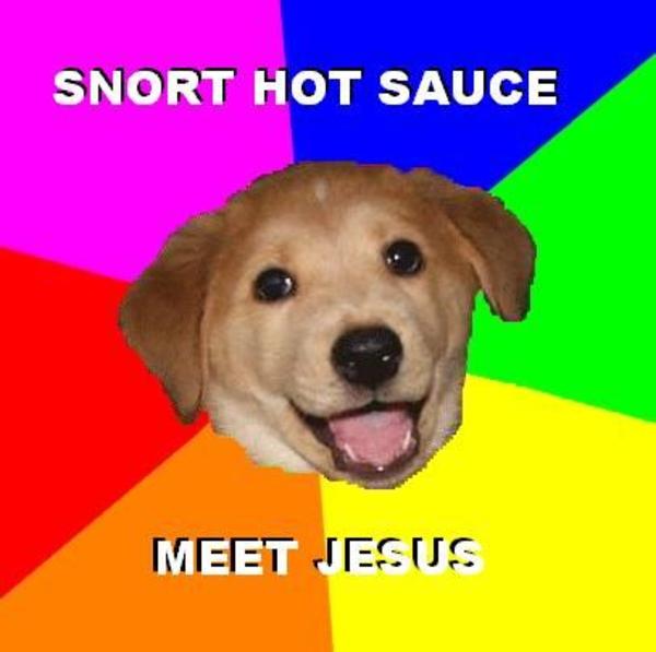[Image - 49214] | Advice Dog | Know Your Meme
