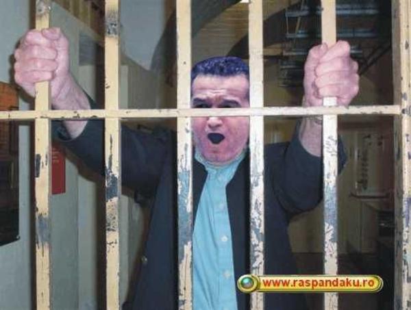 [Image - 49327] | Gigi Becali | Know Your Meme