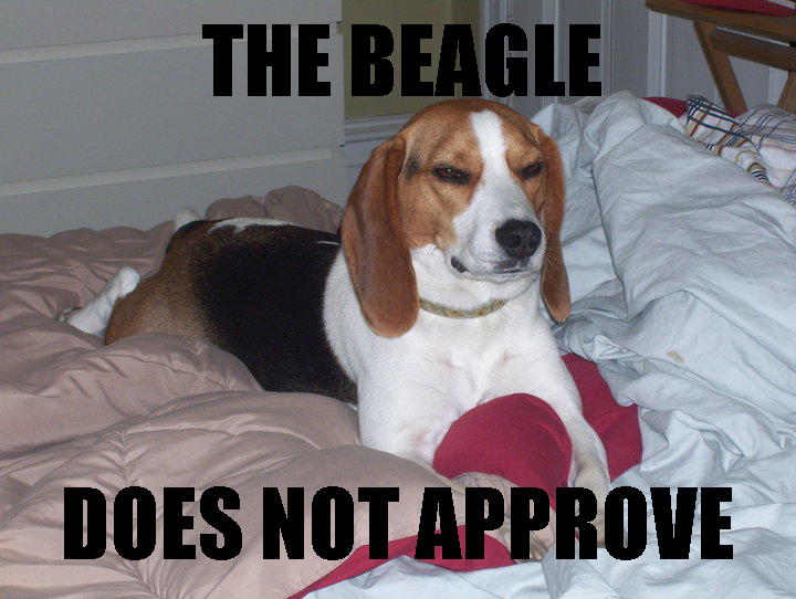 [Image - 50749] | X Approves / Does Not Approve | Know Your Meme