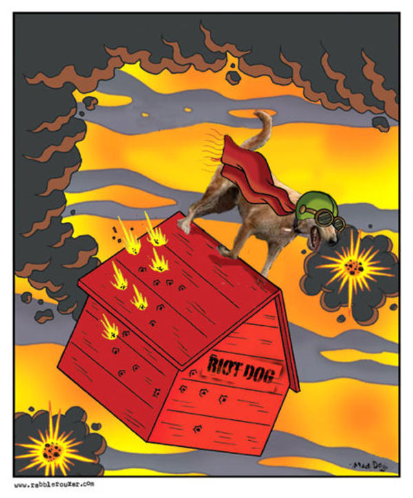 [Image - 51319] | Riot Dog | Know Your Meme