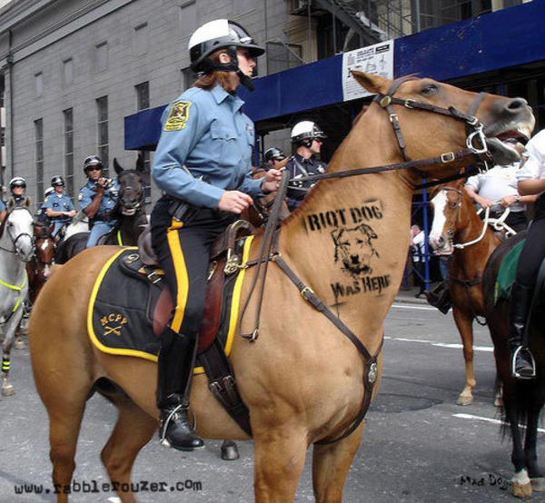 [Image - 51320] | Riot Dog | Know Your Meme