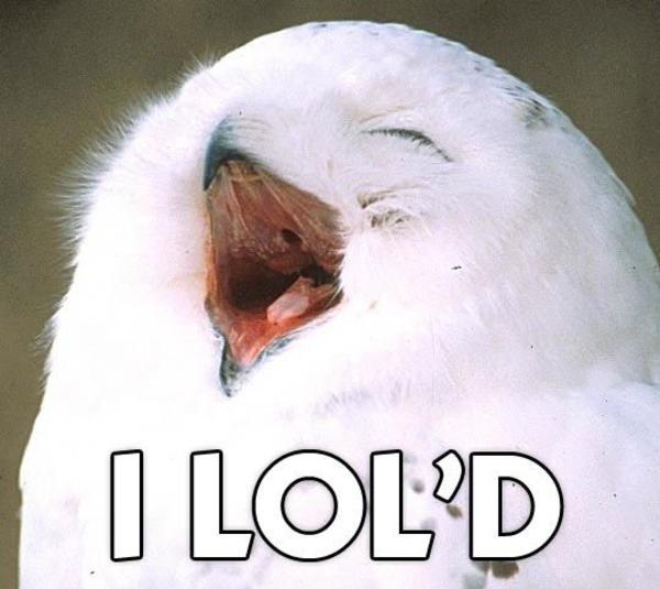 [Image - 51730] | LOL | Know Your Meme