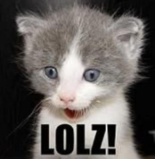 [Image - 51738] | LOL | Know Your Meme