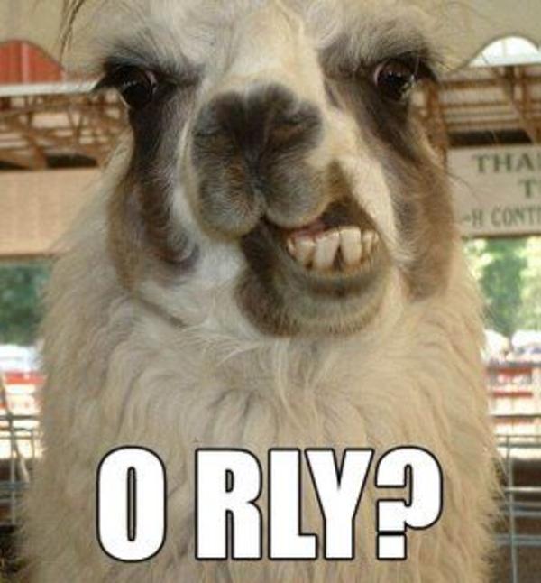 [Image - 52911] | O RLY? | Know Your Meme