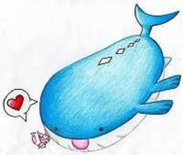 [Image - 56410] | Hot Skitty on Wailord Action | Know Your Meme