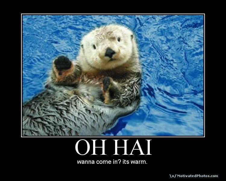 [Image - 57264] | OH HAI | Know Your Meme