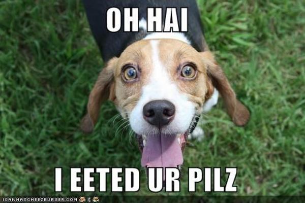 [Image - 57459] | OH HAI | Know Your Meme