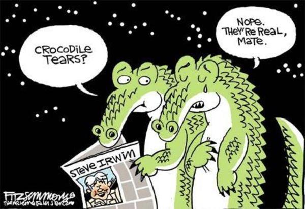 [Image - 57899] | Steve Irwin's Stingray Death | Know Your Meme