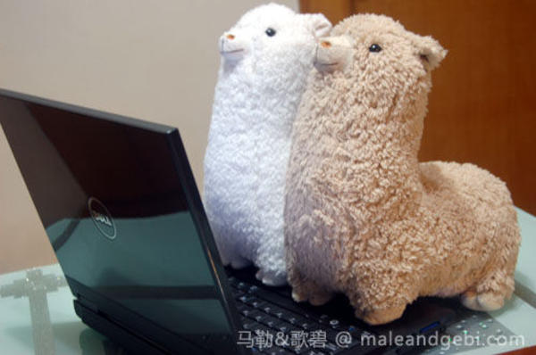 [Image - 58574] | Baidu 10 Mythical Creatures (Grass Mud Horse) | Know ...