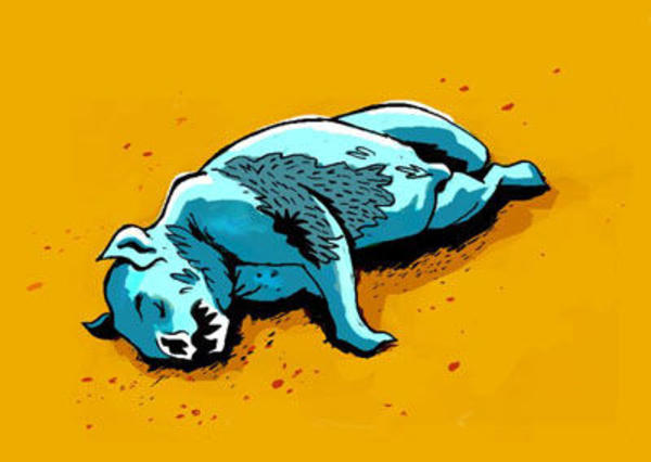 [Image - 60496] | Montauk Monster | Know Your Meme