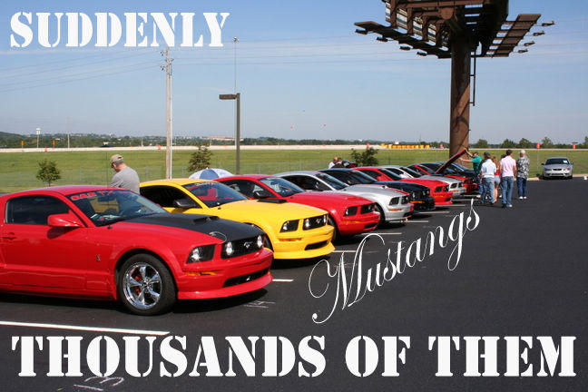 [Image - 60520] | Suddenly, Bananas! Thousands Of Them! | Know Your Meme