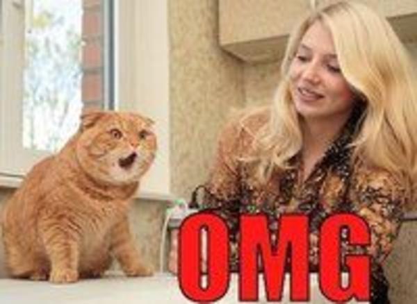 [Image - 60644] | OMG | Know Your Meme