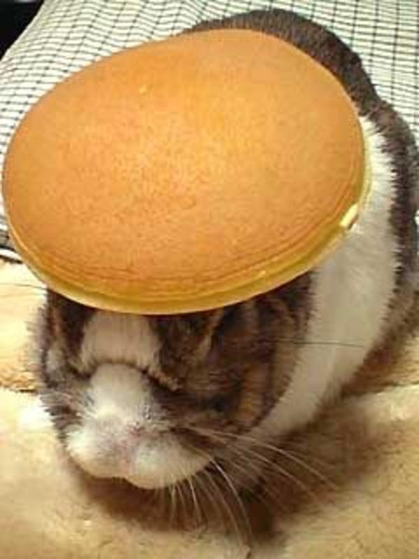 [Image - 61209] | Pancake Bunny | Know Your Meme