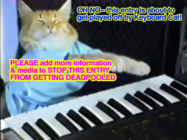 [Image - 61378] | Keyboard Cat | Know Your Meme