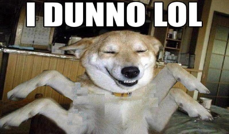 [Image - 61512] | I Dunno LOL ¯\(°_o)/¯ | Know Your Meme