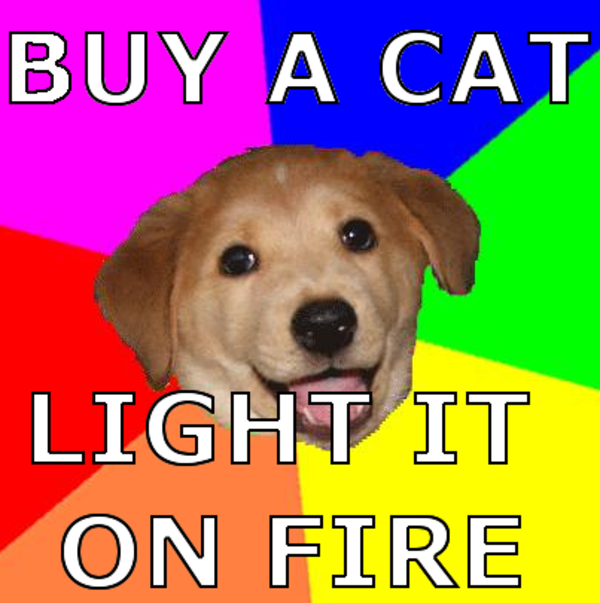 [Image - 61922] | Advice Dog | Know Your Meme