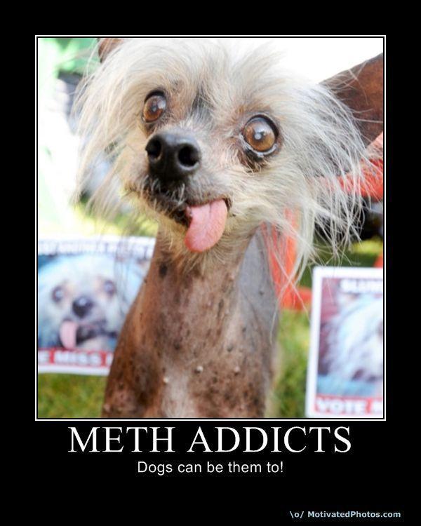 [Image - 61956] | Meth, Not Even Once | Know Your Meme