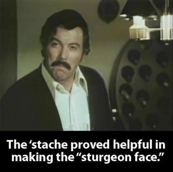 [Image - 62023] | Sturgeon Face | Know Your Meme