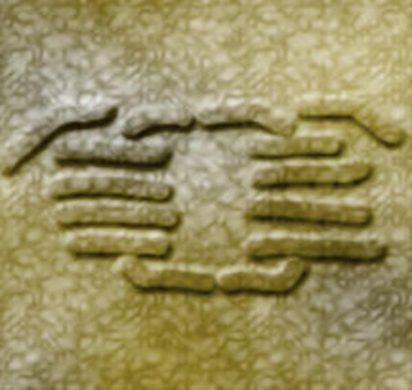 [Image - 63030] | Goatse | Know Your Meme