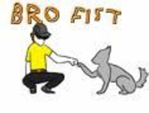 [Image - 63330] | Bro Fist | Know Your Meme