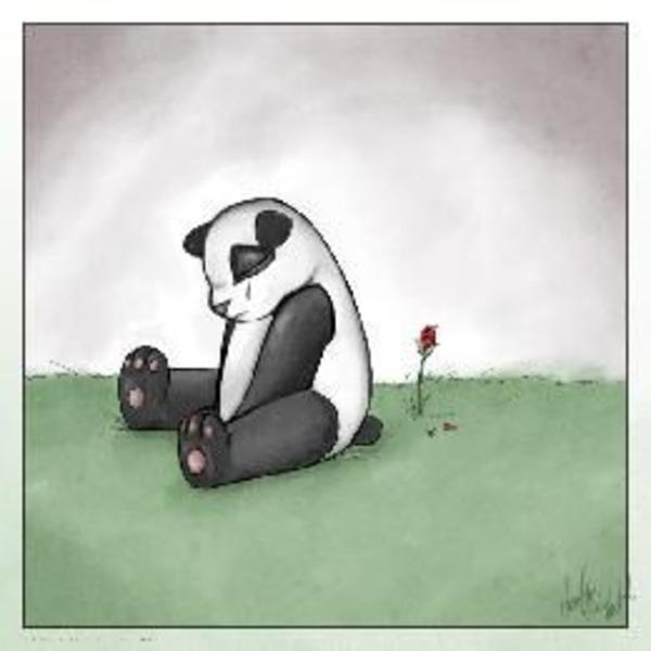 [Image - 63382] | Sad Panda | Know Your Meme
