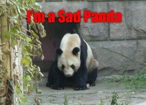 [Image - 63387] | Sad Panda | Know Your Meme