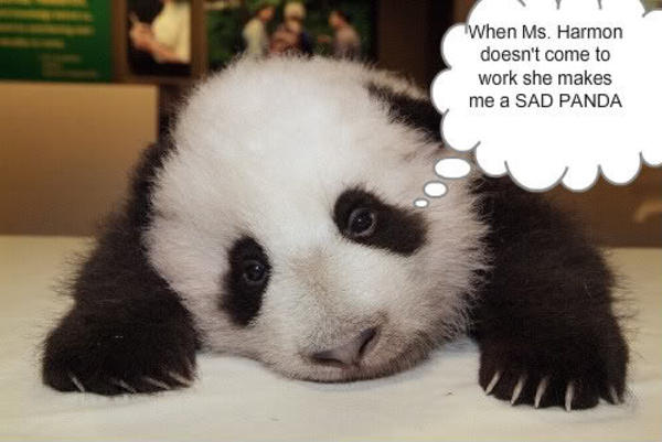 [Image - 63389] | Sad Panda | Know Your Meme