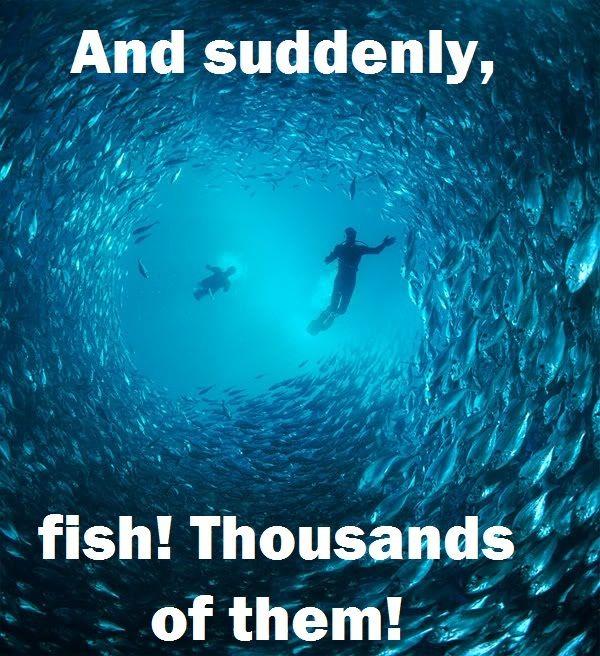 [Image - 63536] | Suddenly, Bananas! Thousands Of Them! | Know Your Meme