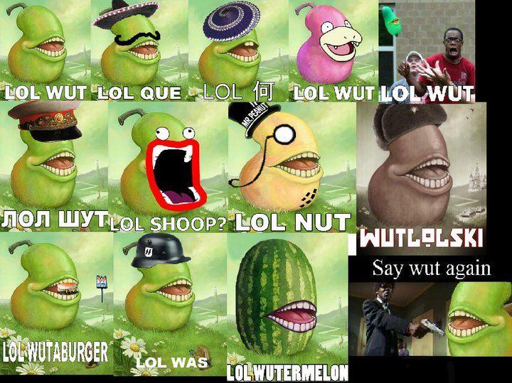 [Image - 63759] | LOLWUT | Know Your Meme