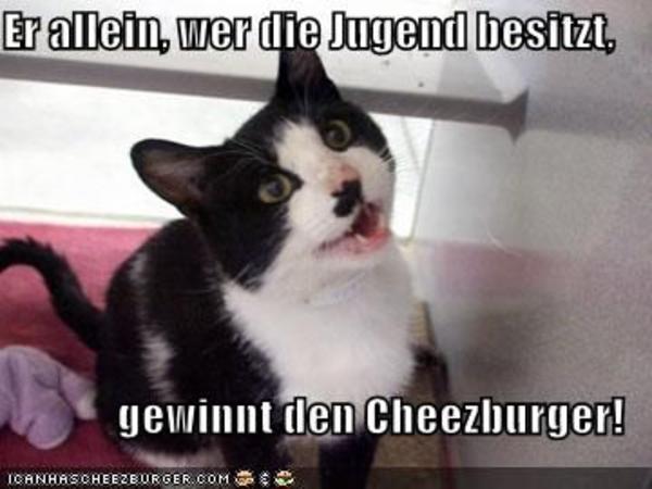 [Image - 64317] | Kitler | Know Your Meme