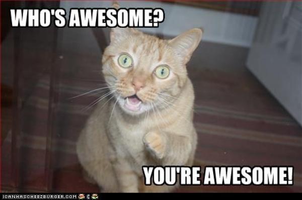 [Image - 64389] | Who's Awesome? You're Awesome! / Sos Groso, Sabelo ...