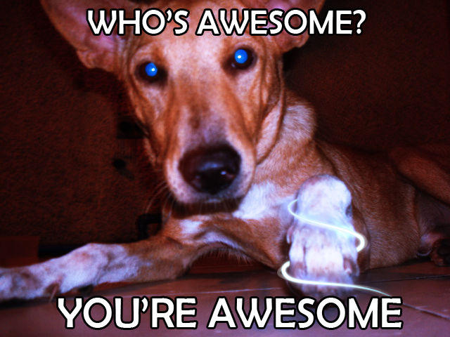[Image - 65412] | Who's Awesome? You're Awesome! / Sos Groso, Sabelo ...