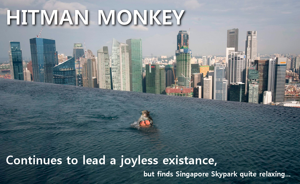 [Image - 67162] | Hitman Monkey | Know Your Meme