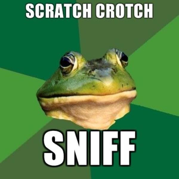 [Image - 67678] | Foul Bachelor Frog | Know Your Meme